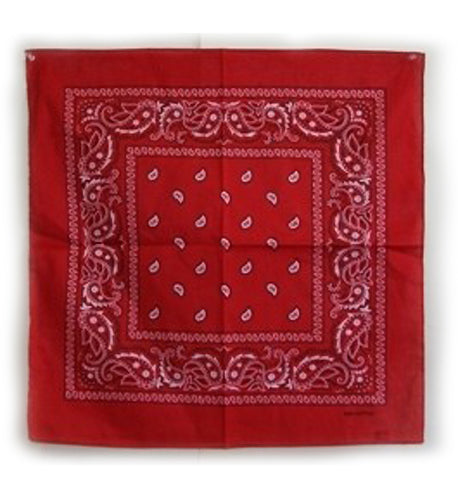 Red Paisley Bandana – FantasiaWear
